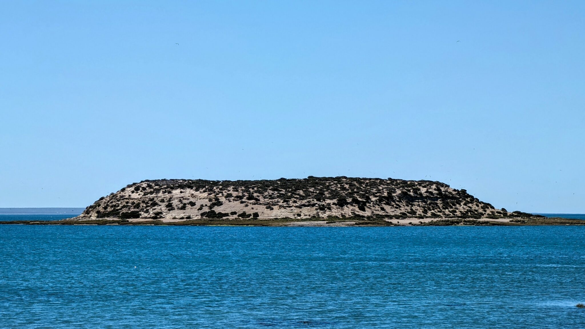 The Best 4 Day Itinerary for the Valdes Peninsula