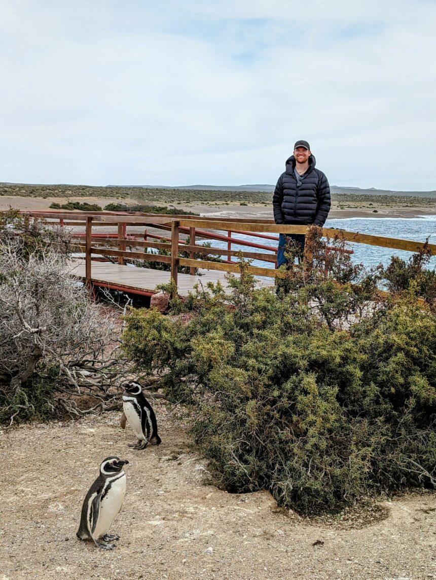 How to Visit Punta Tombo and Walk with Penguins