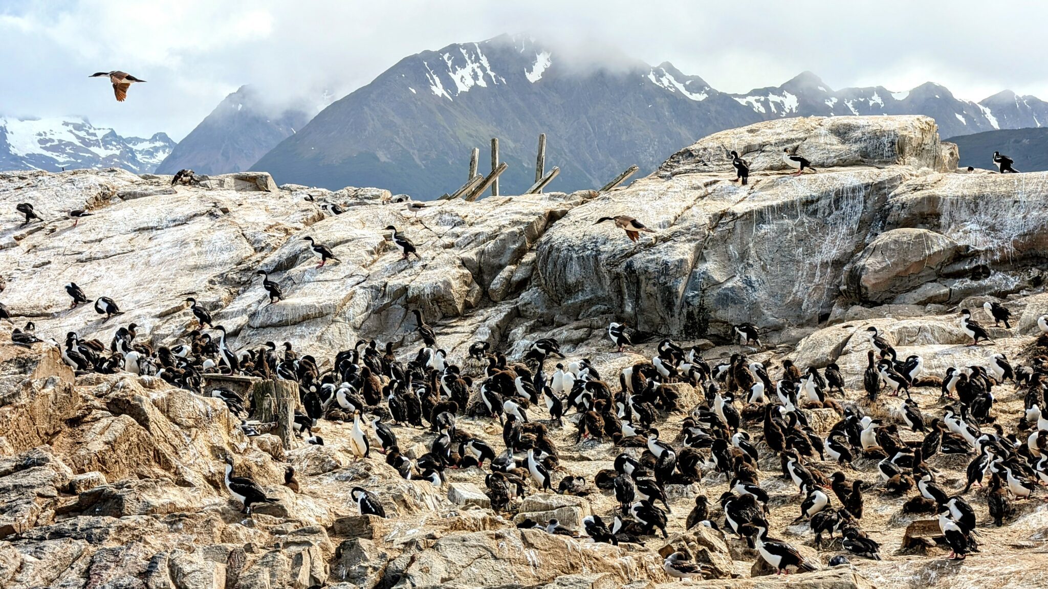 Tour Options to Sail the Beagle Channel Ushuaia
