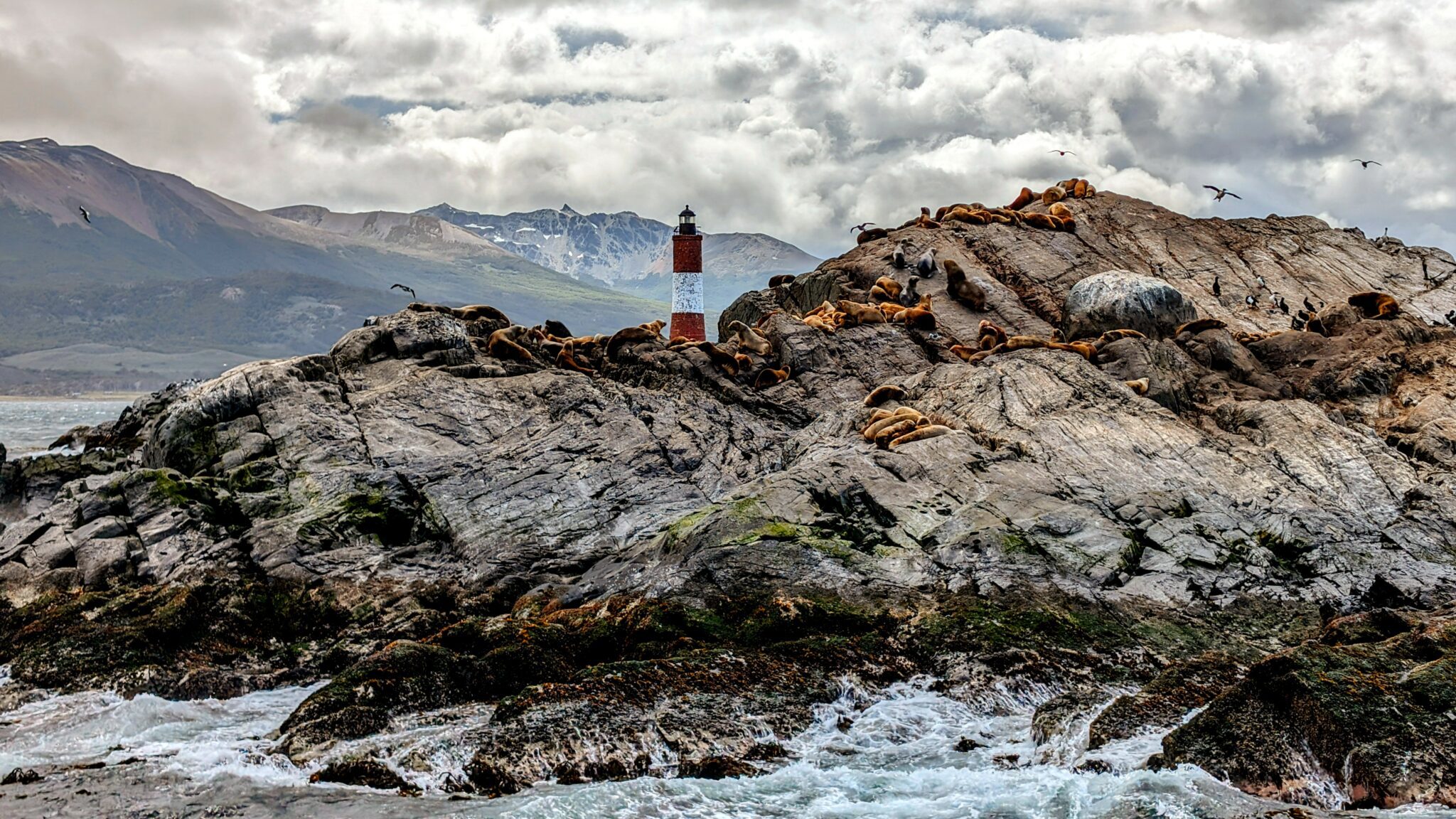 Tour Options to Sail the Beagle Channel Ushuaia