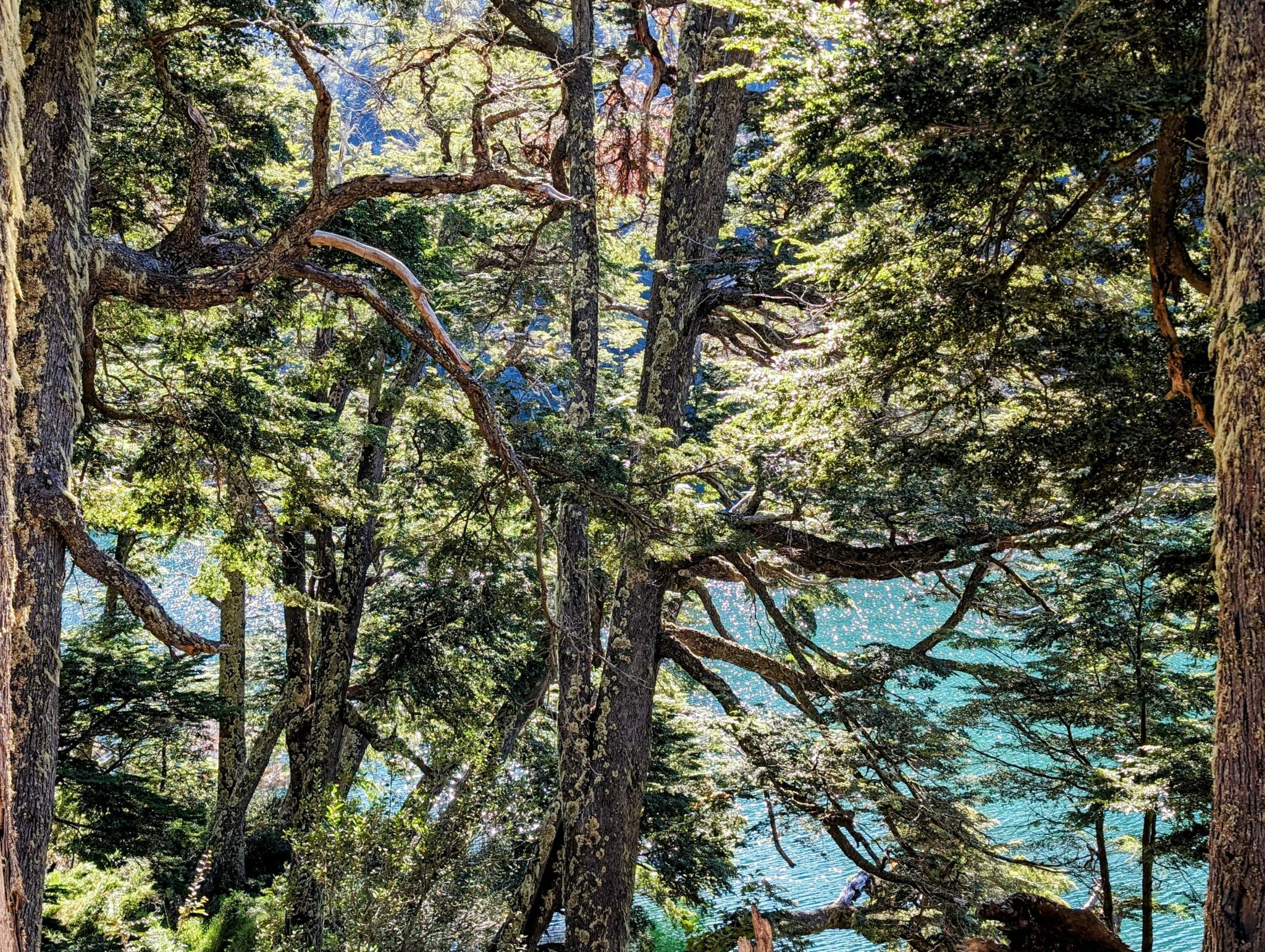 The Route of the Seven Lakes: A Stop by Stop Guide