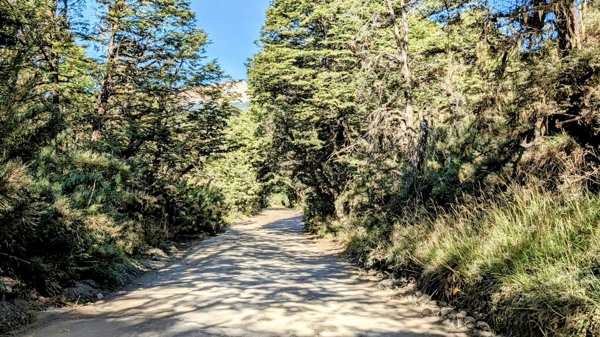 The Route of the Seven Lakes: A Stop by Stop Guide