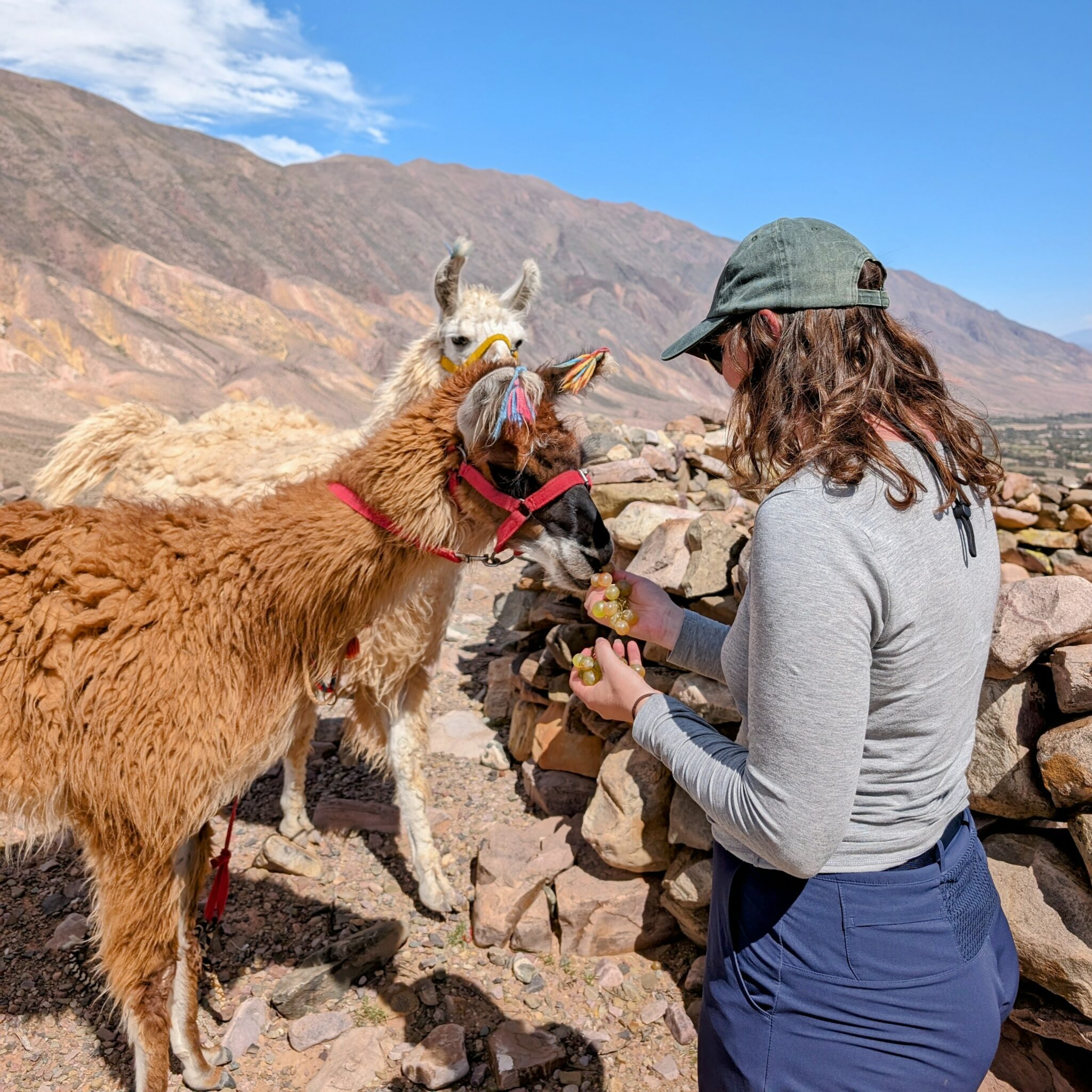 The 15 Best Things to Do in Salta