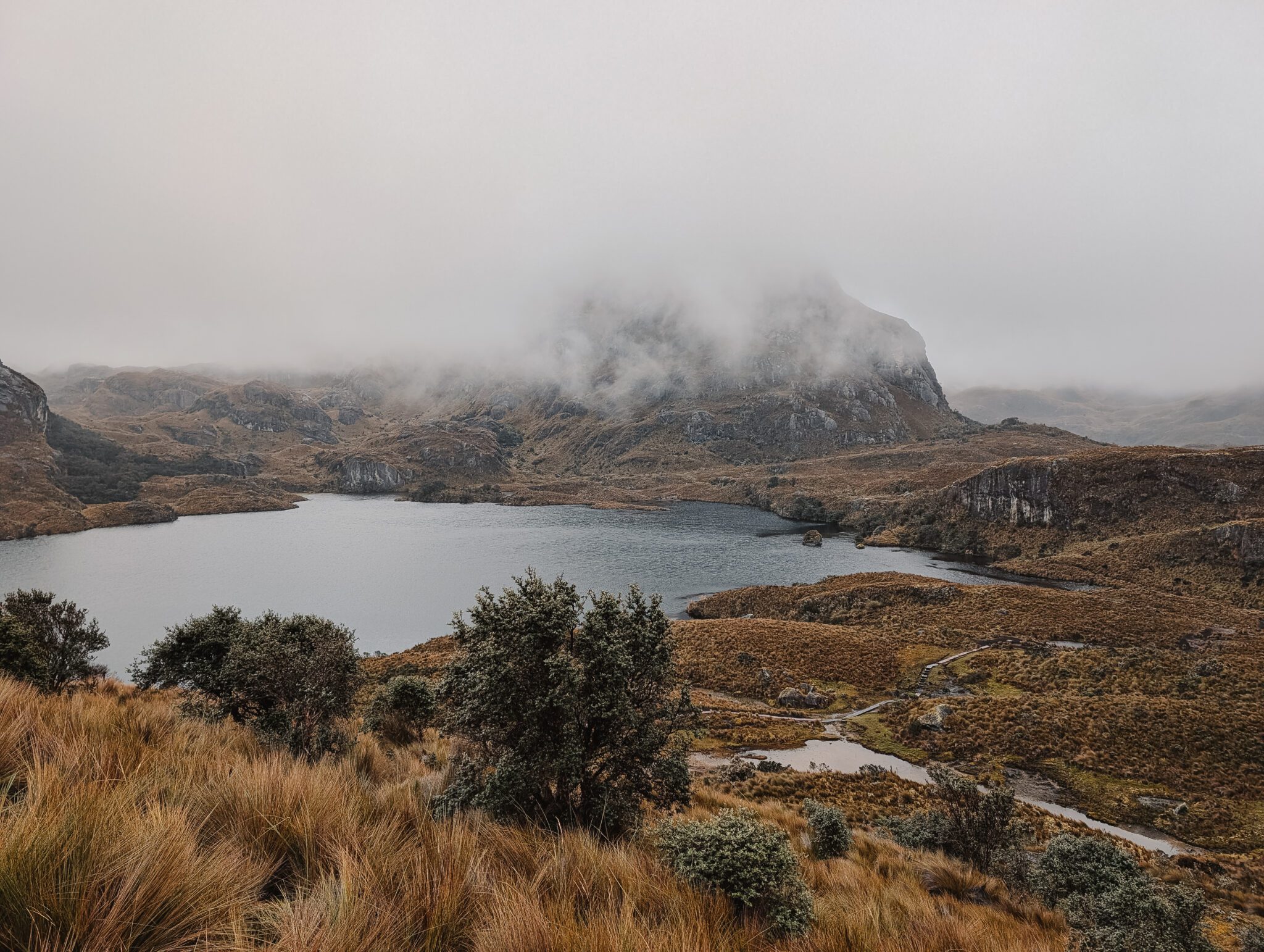 How to Know If Ecuador Is Safe to Travel to (It Is)