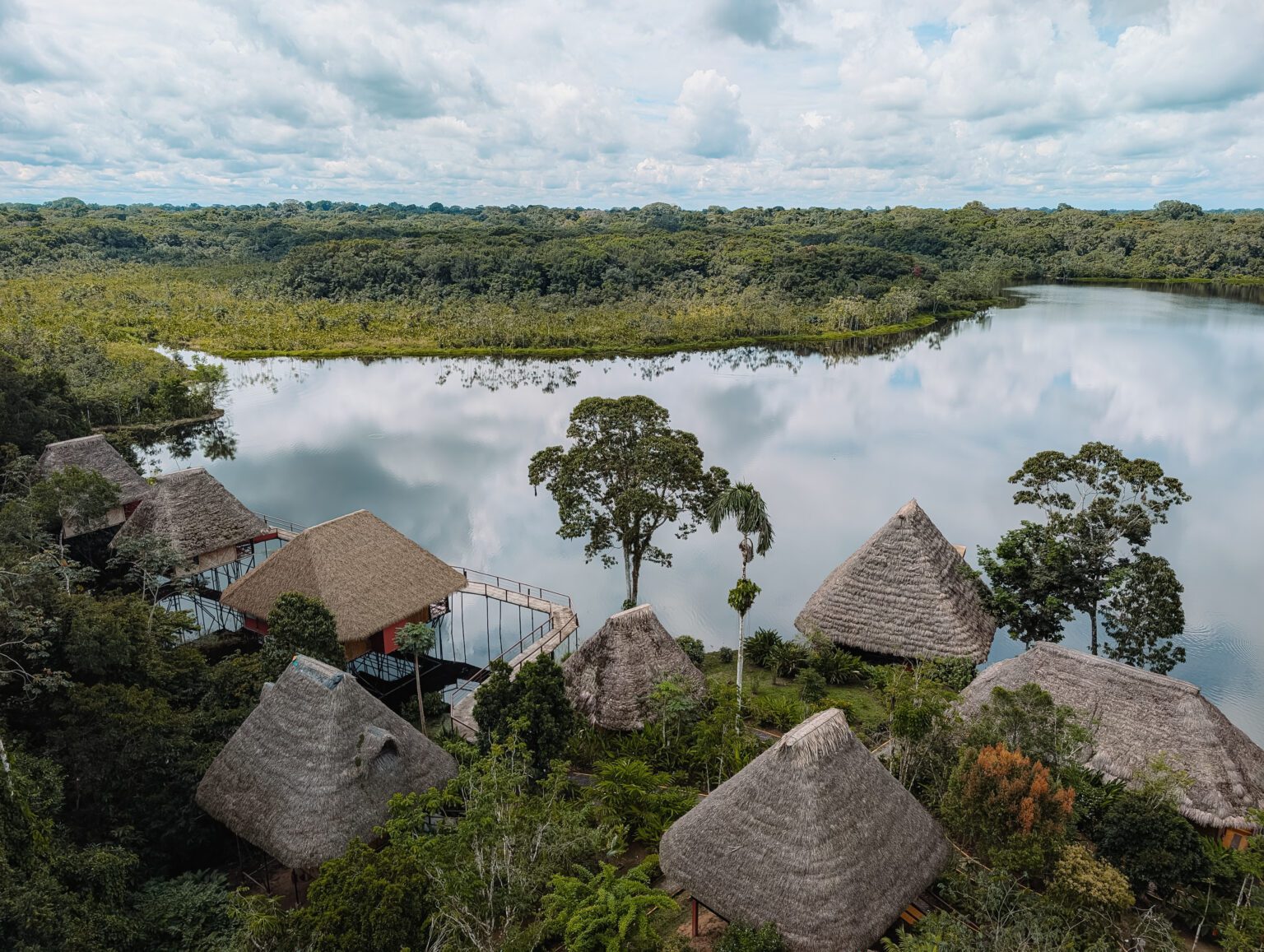 Napo Wildlife Center Ecolodge: A Luxury Rainforest Experience in Ecuador