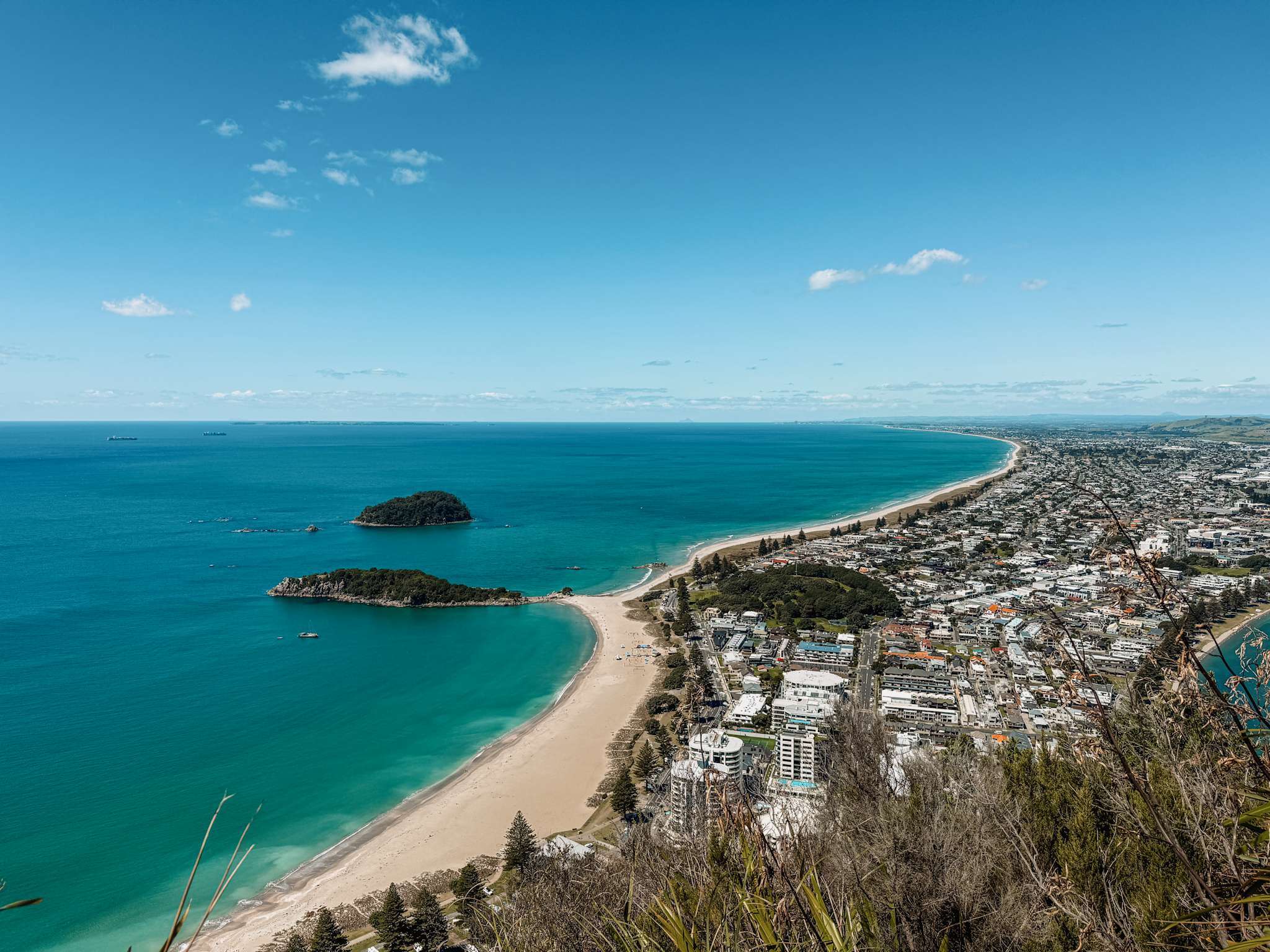 Things to Do in the Coromandel Peninsula: Beaches, Hiking, and More