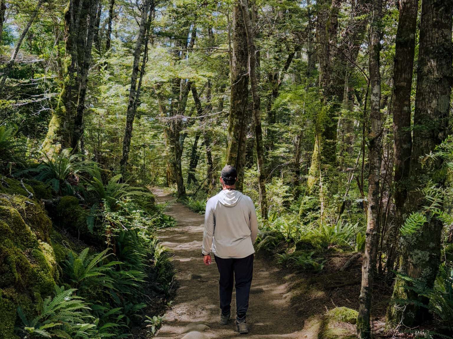 Is New Zealand Safe? Yes, But Consider Some of These Aspects...